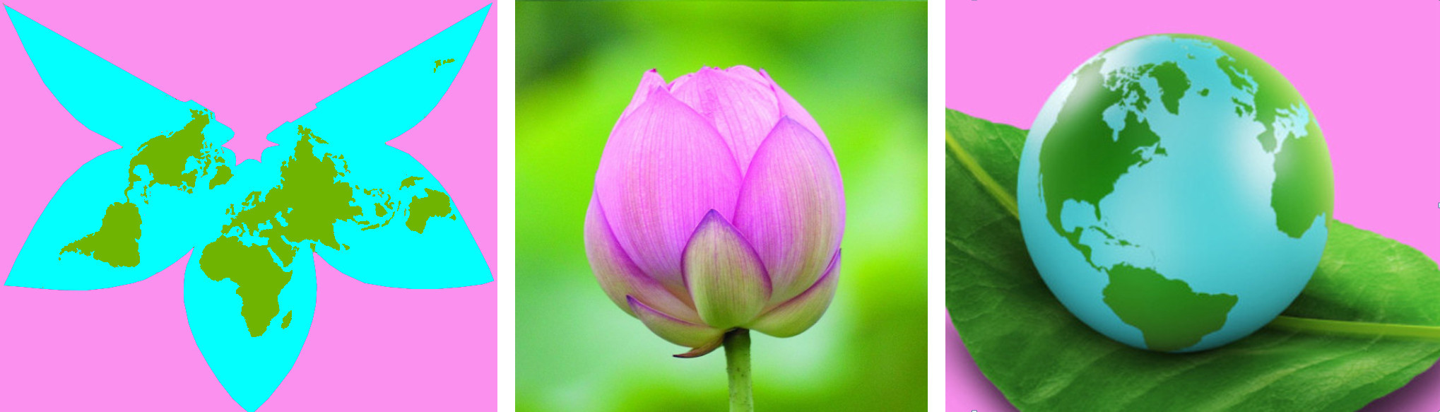 The Lotus Earth | Soolaba's Blog