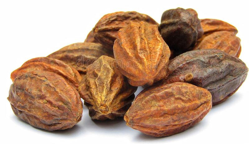 myrobalan-fruits | Soolaba's Blog